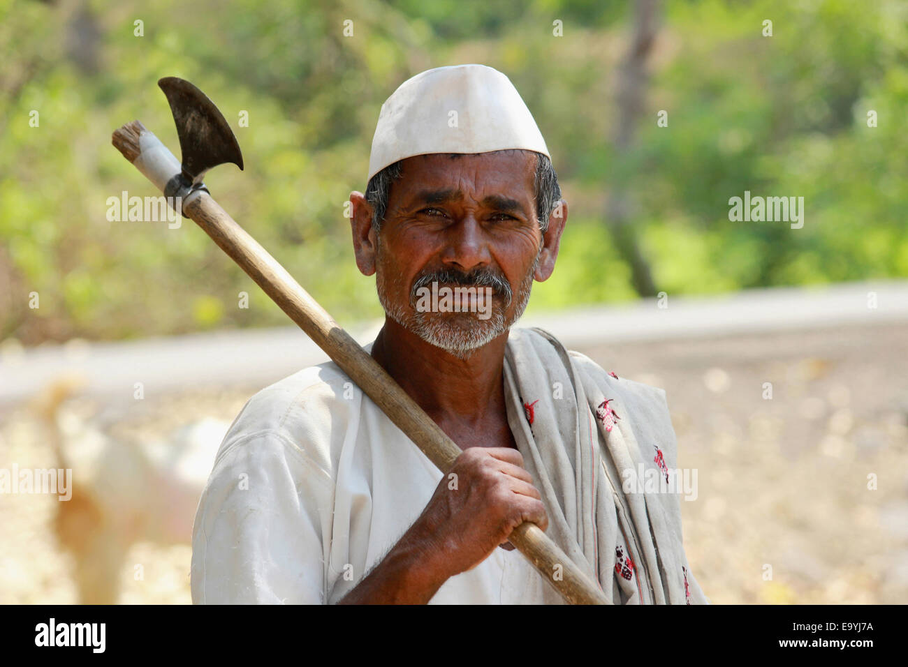 Farmer with axe, Pune, Maharastra Stock Photo - Alamy