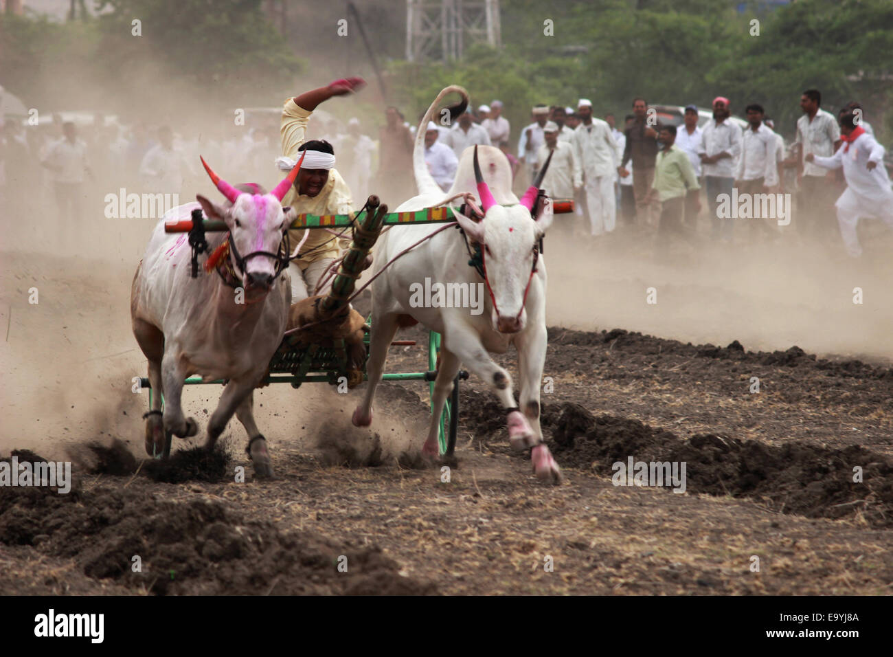 Bullock cart of mud hi-res stock photography and images - Alamy