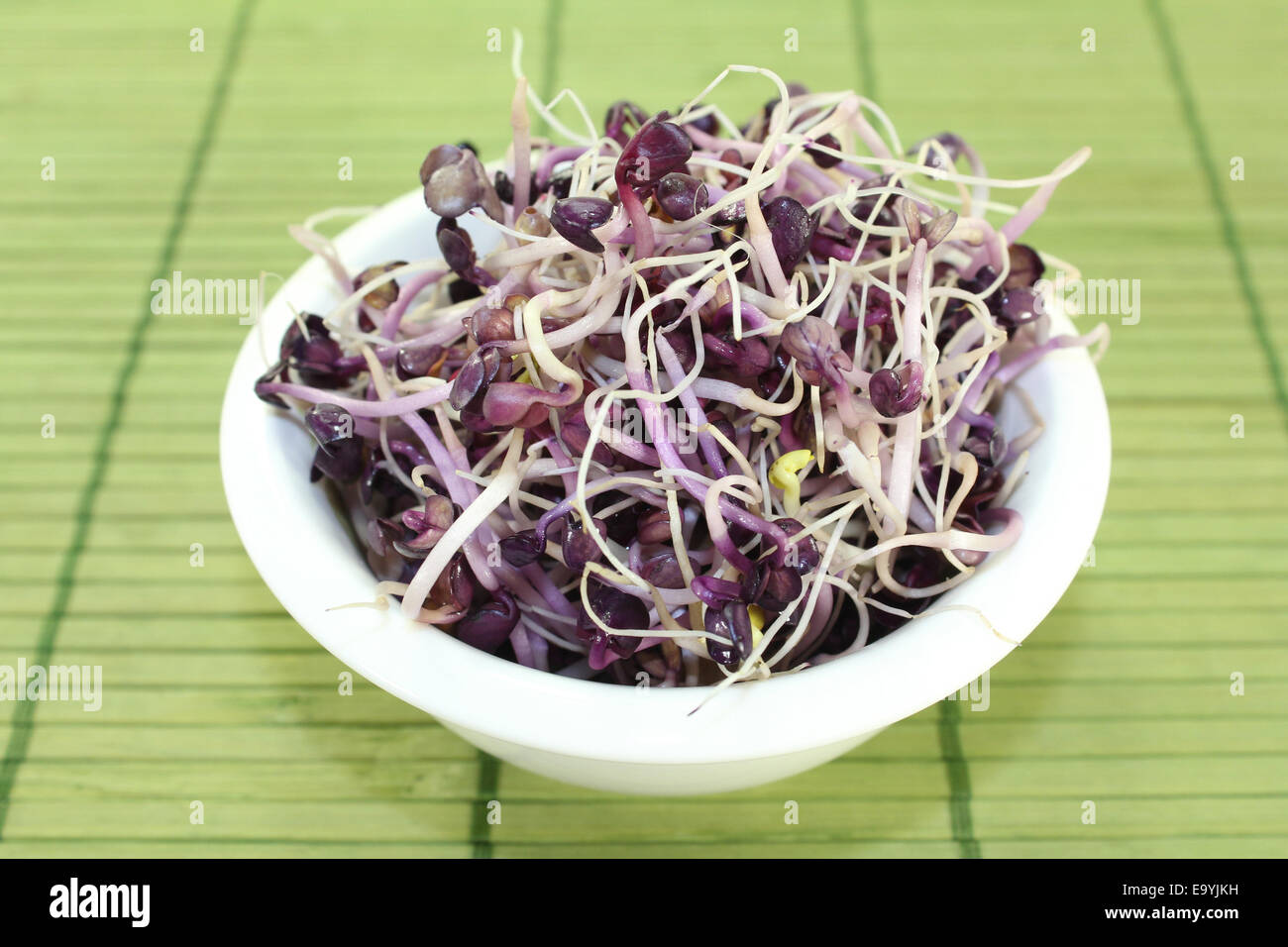 Radish sprouts hi-res stock photography and images - Alamy