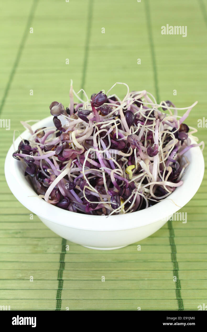 a bowl of radish sprouts on a bast mat Stock Photo - Alamy