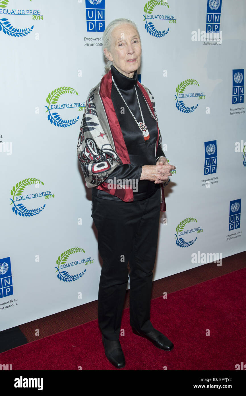 New York.NY.USA. Jane Goodall at the 2014 United Nations Equator Prize ...