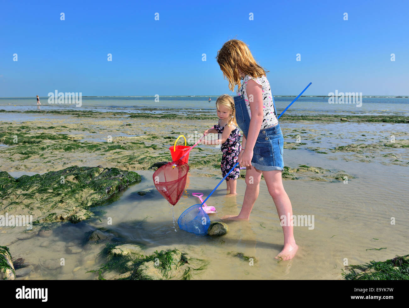 Children rock pooling at Holywell Retreat, South Downs. Eastbourne. UK ...