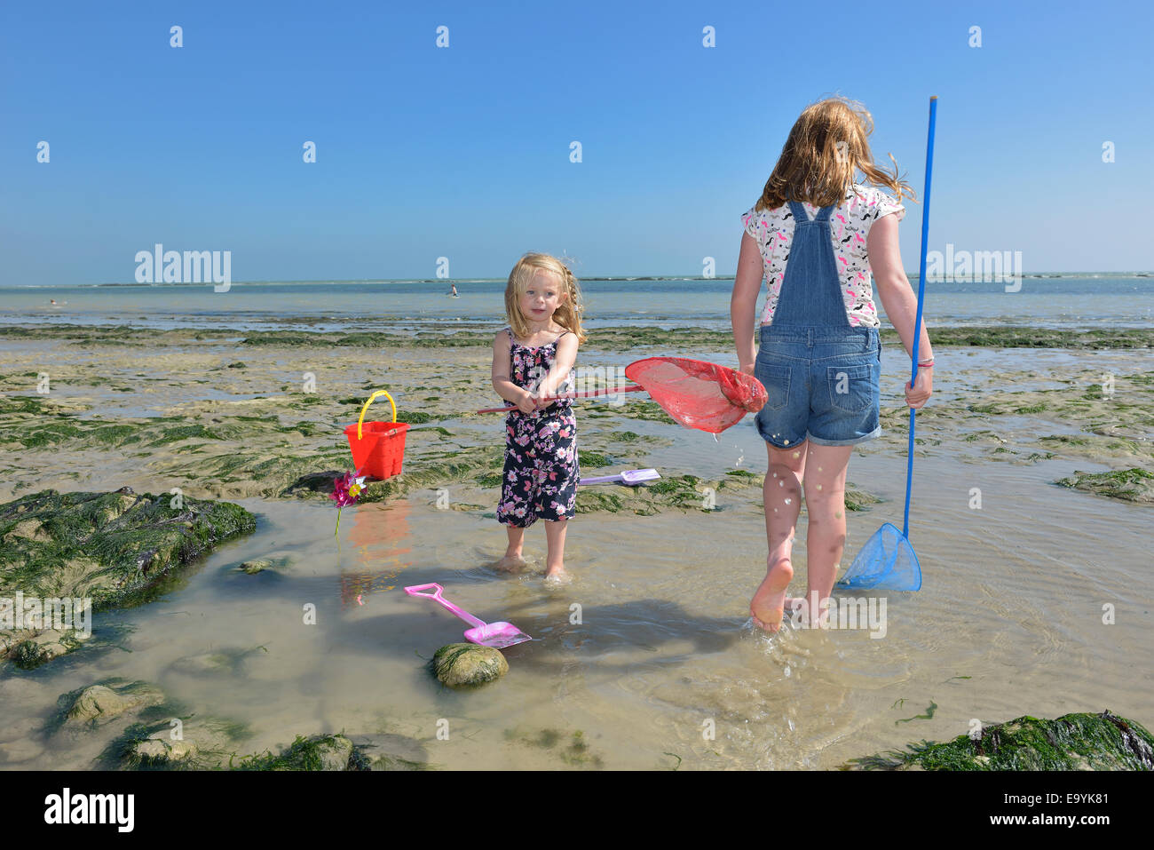 Rock Pooling Children High Resolution Stock Photography and Images - Alamy