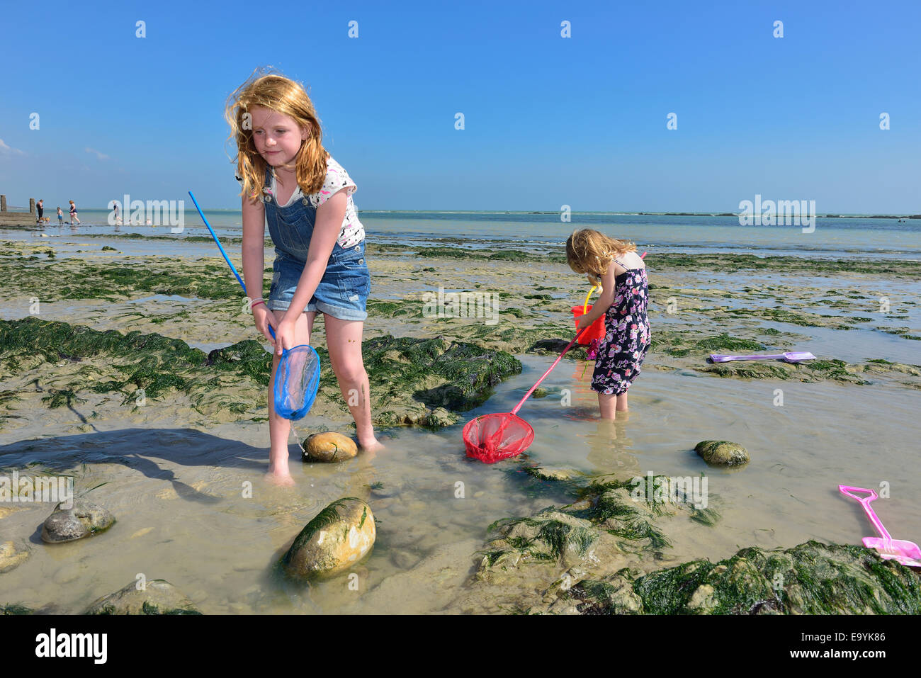 Children rock pooling at Holywell Retreat, South Downs. Eastbourne. UK ...