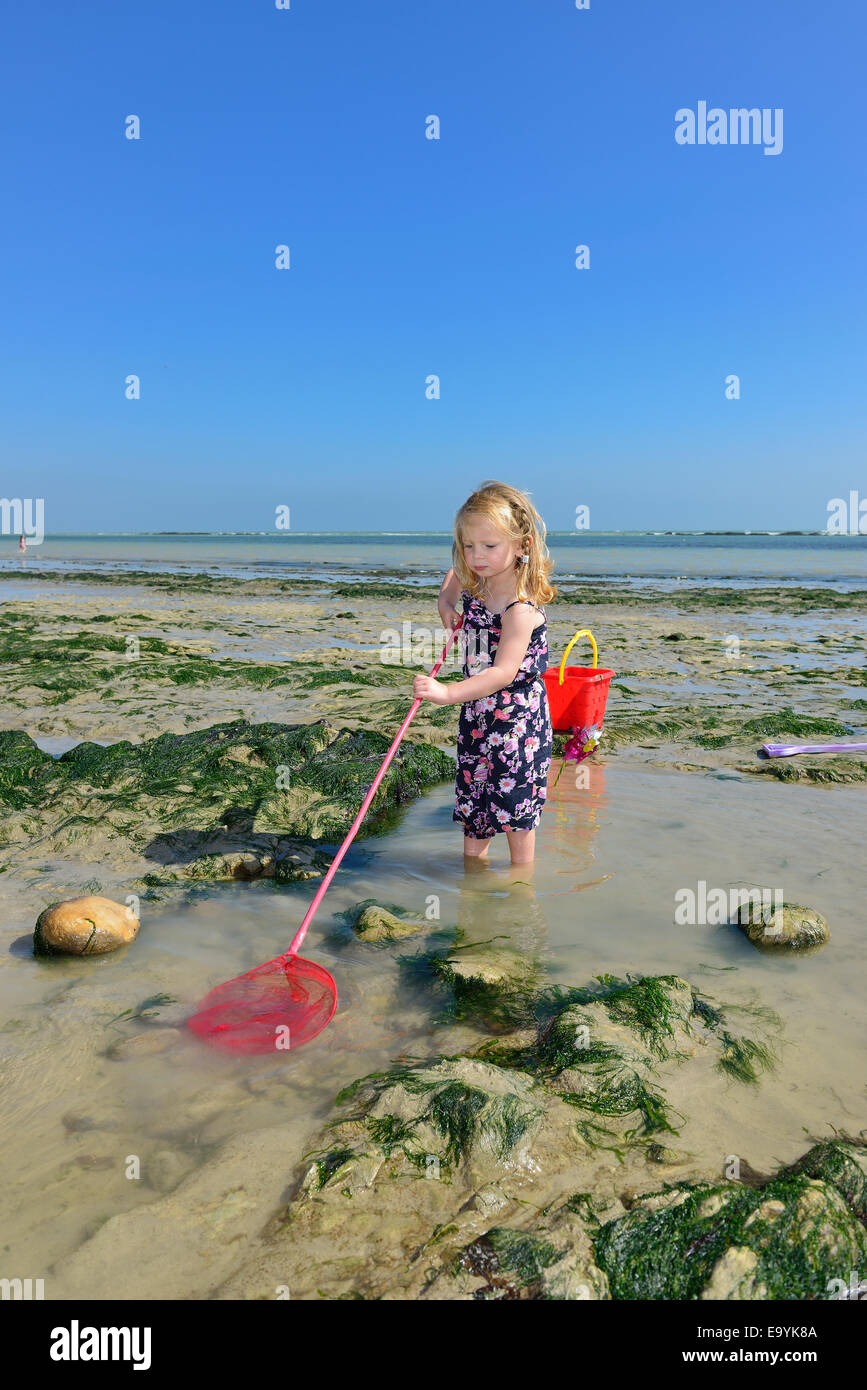 Child rock pooling at Holywell Retreat, South Downs. Eastbourne. UK ...