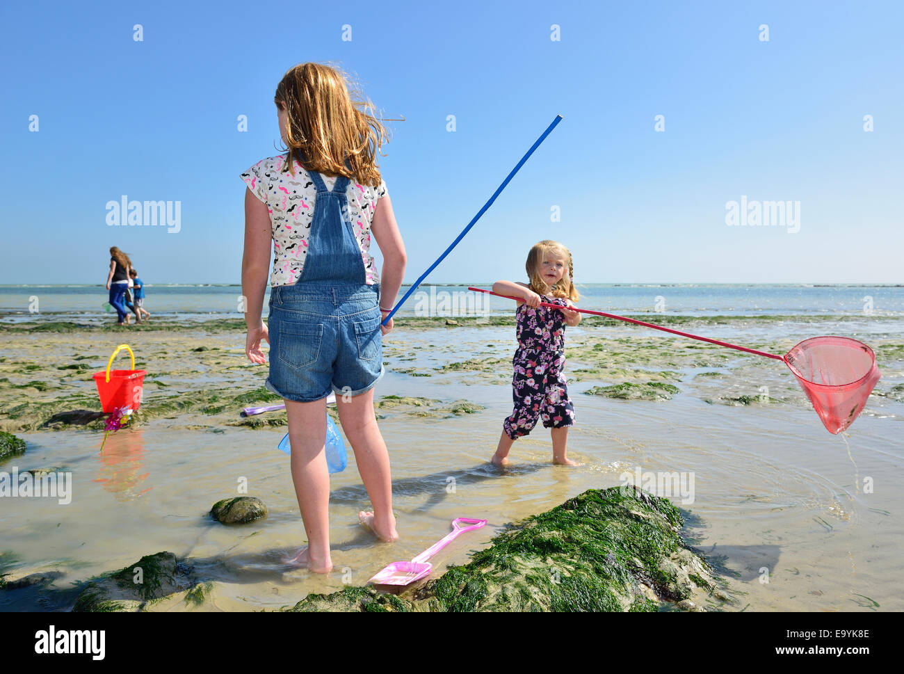 Children rock pooling at Holywell Retreat, South Downs. Eastbourne. UK ...