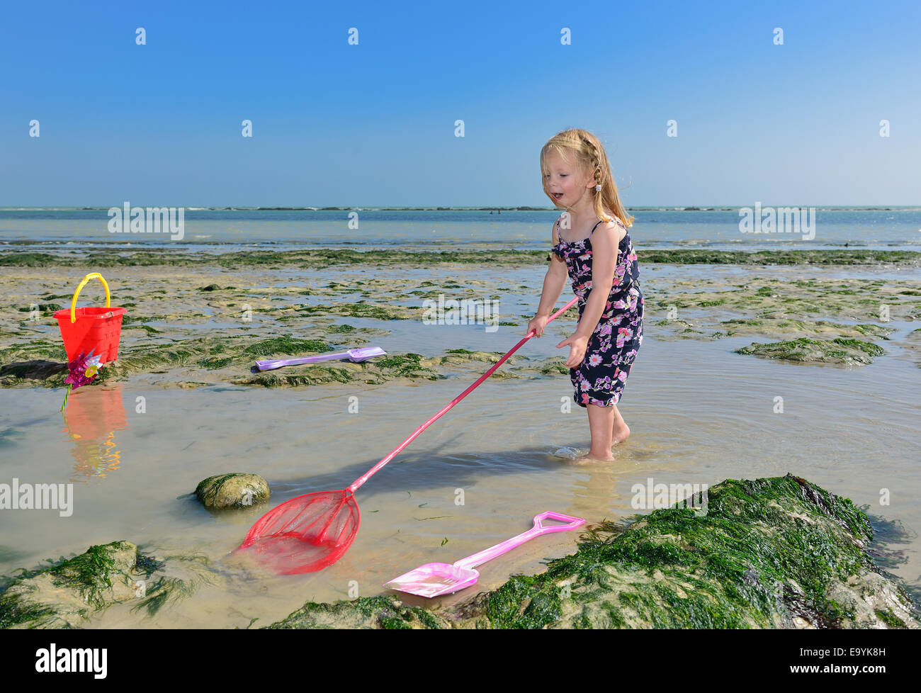 Child rock pooling at Holywell Retreat, South Downs. Eastbourne. UK ...