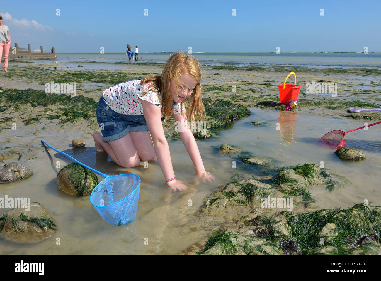 Children rock pooling at Holywell Retreat, South Downs. Eastbourne. UK ...