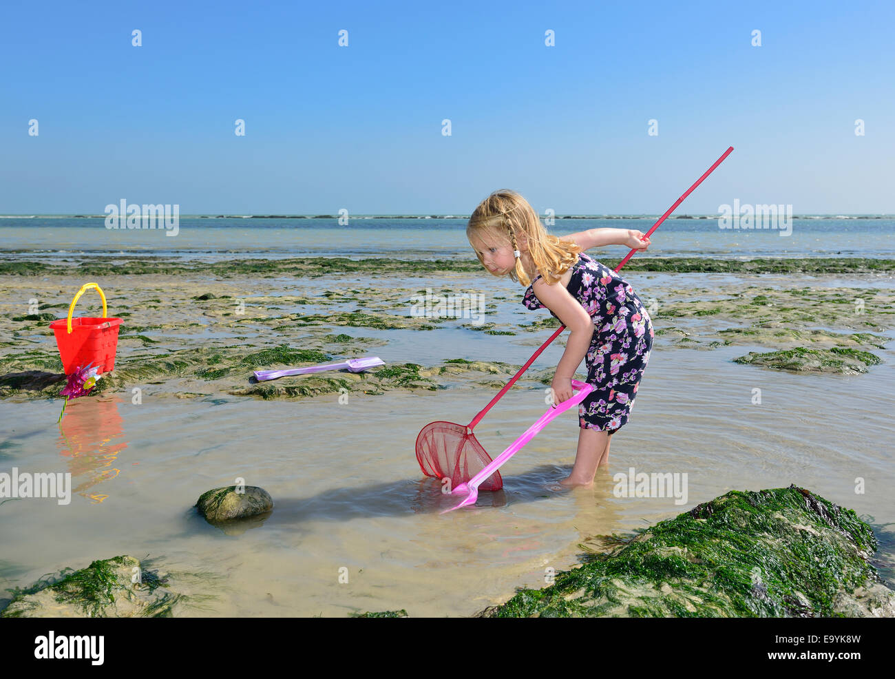 Child rock pooling at Holywell Retreat, South Downs. Eastbourne. UK ...