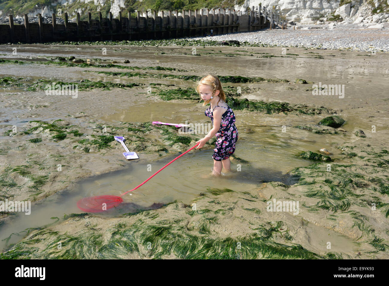 Child rock pooling at Holywell Retreat, South Downs. Eastbourne. UK ...