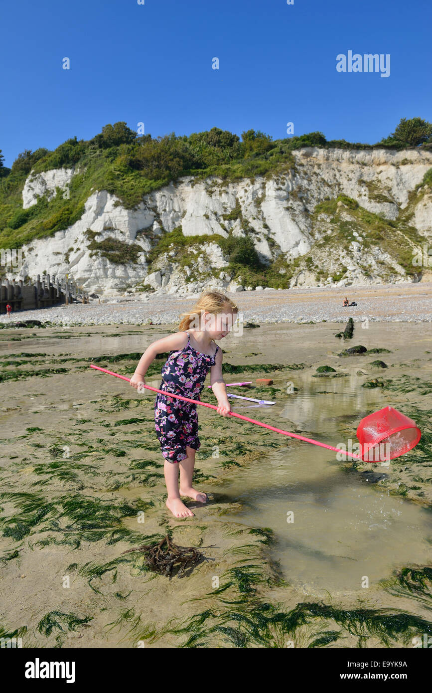 Child rock pooling at Holywell Retreat, South Downs. Eastbourne. UK ...