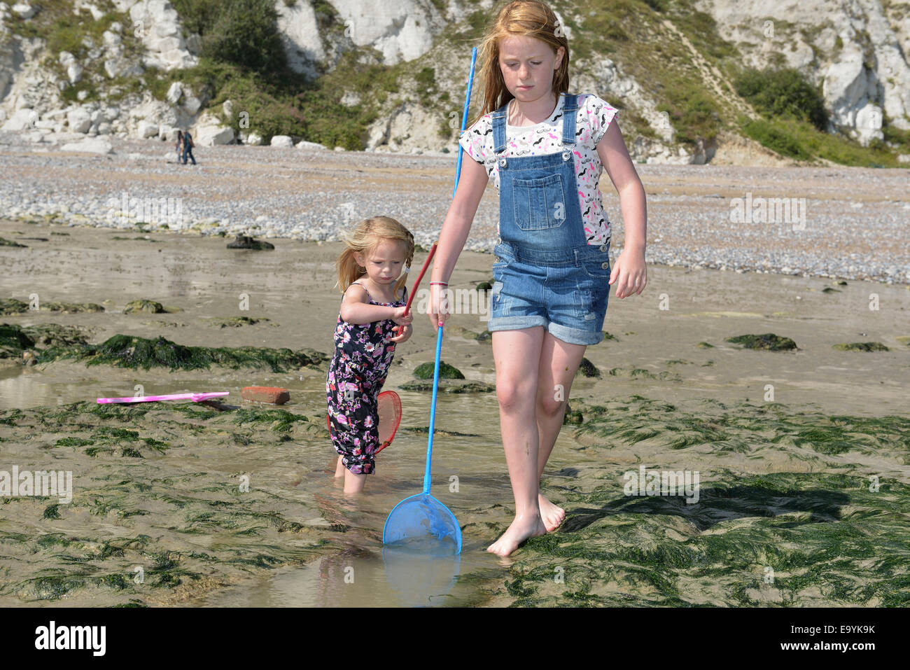 Children rock pooling at Holywell Retreat, South Downs. Eastbourne. UK ...