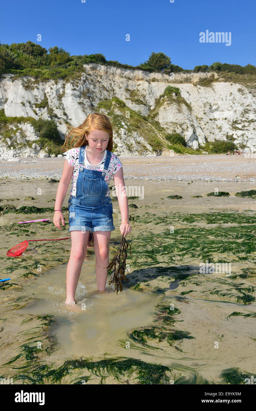 Child rock pooling at Holywell Retreat, South Downs. Eastbourne. UK ...