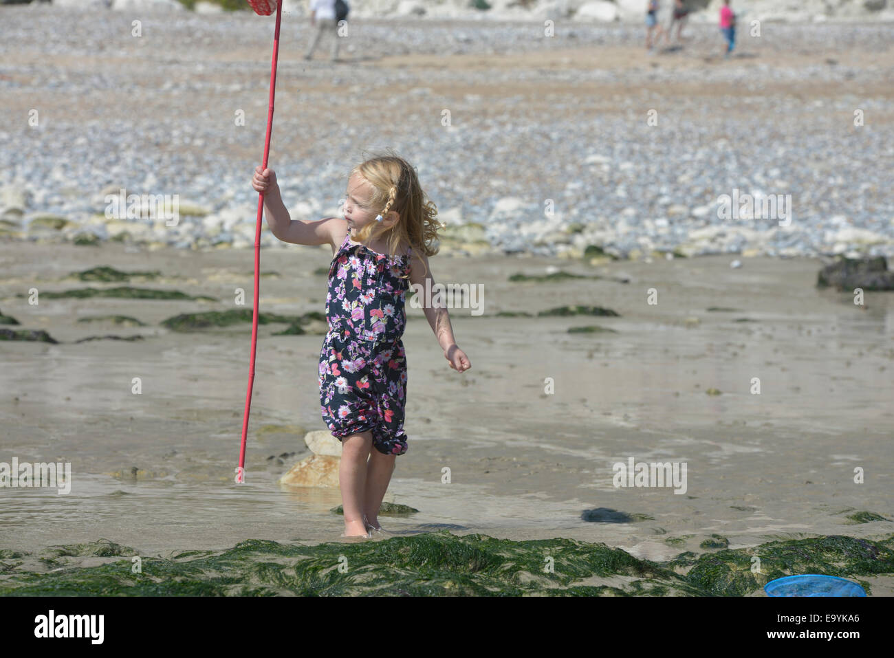 Child rock pooling at Holywell Retreat, South Downs. Eastbourne. UK ...