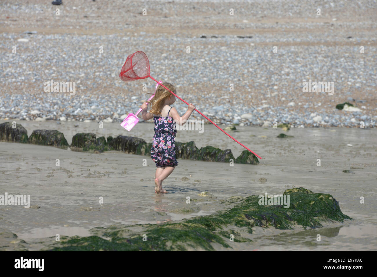 Child rock pooling at Holywell Retreat, South Downs. Eastbourne. UK ...