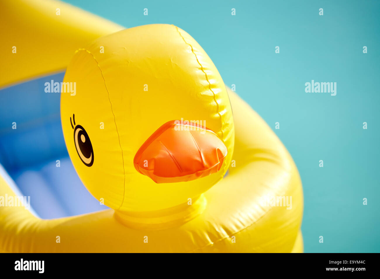Close up of a large inflatable yellow duck floating in a pool Stock ...