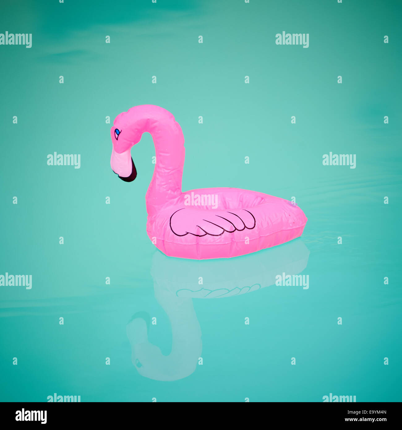 Inflatable pink flamingo floating in a pool Stock Photo - Alamy