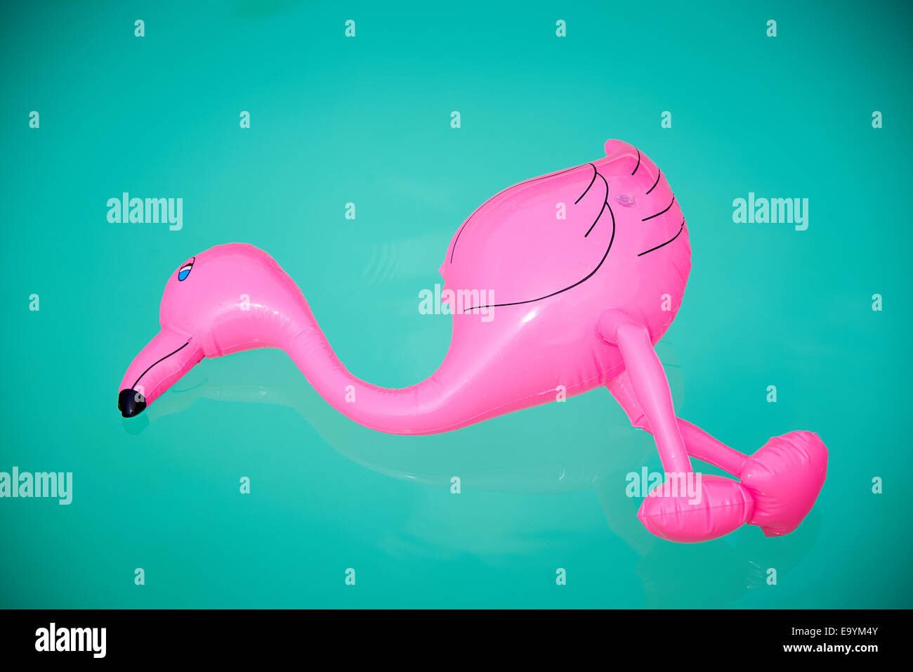 Inflatable pink flamingo floating in a pool Stock Photo - Alamy