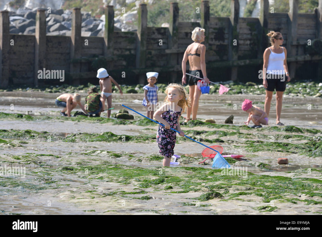 Children rock pooling at Holywell Retreat, South Downs. Eastbourne. UK ...