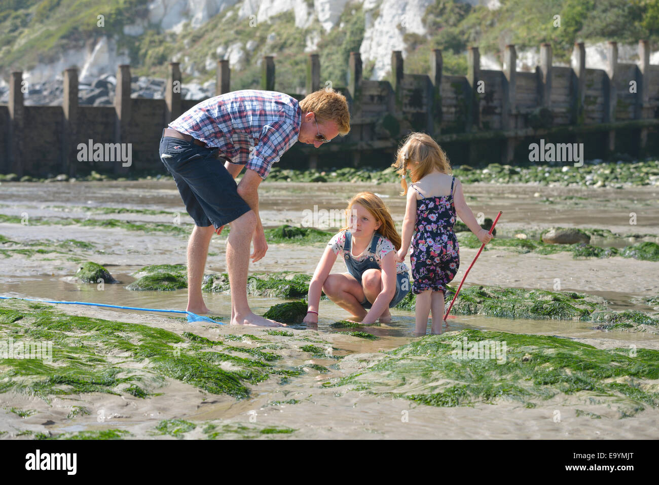 Children with father rock pooling at Holywell Retreat, South Downs ...