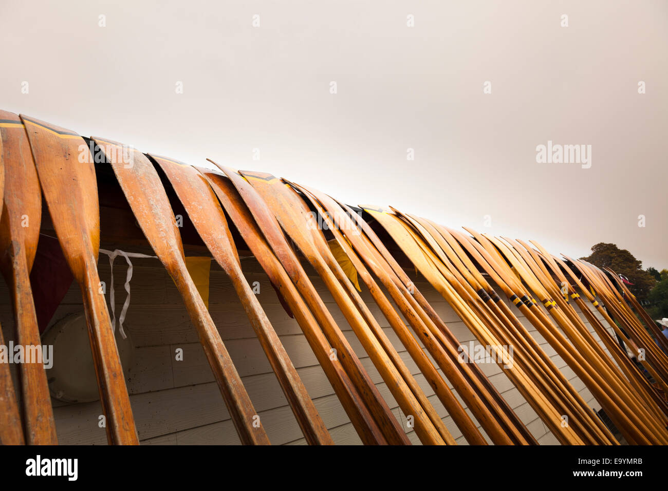 Stacked rowing oars hi-res stock photography and images - Alamy