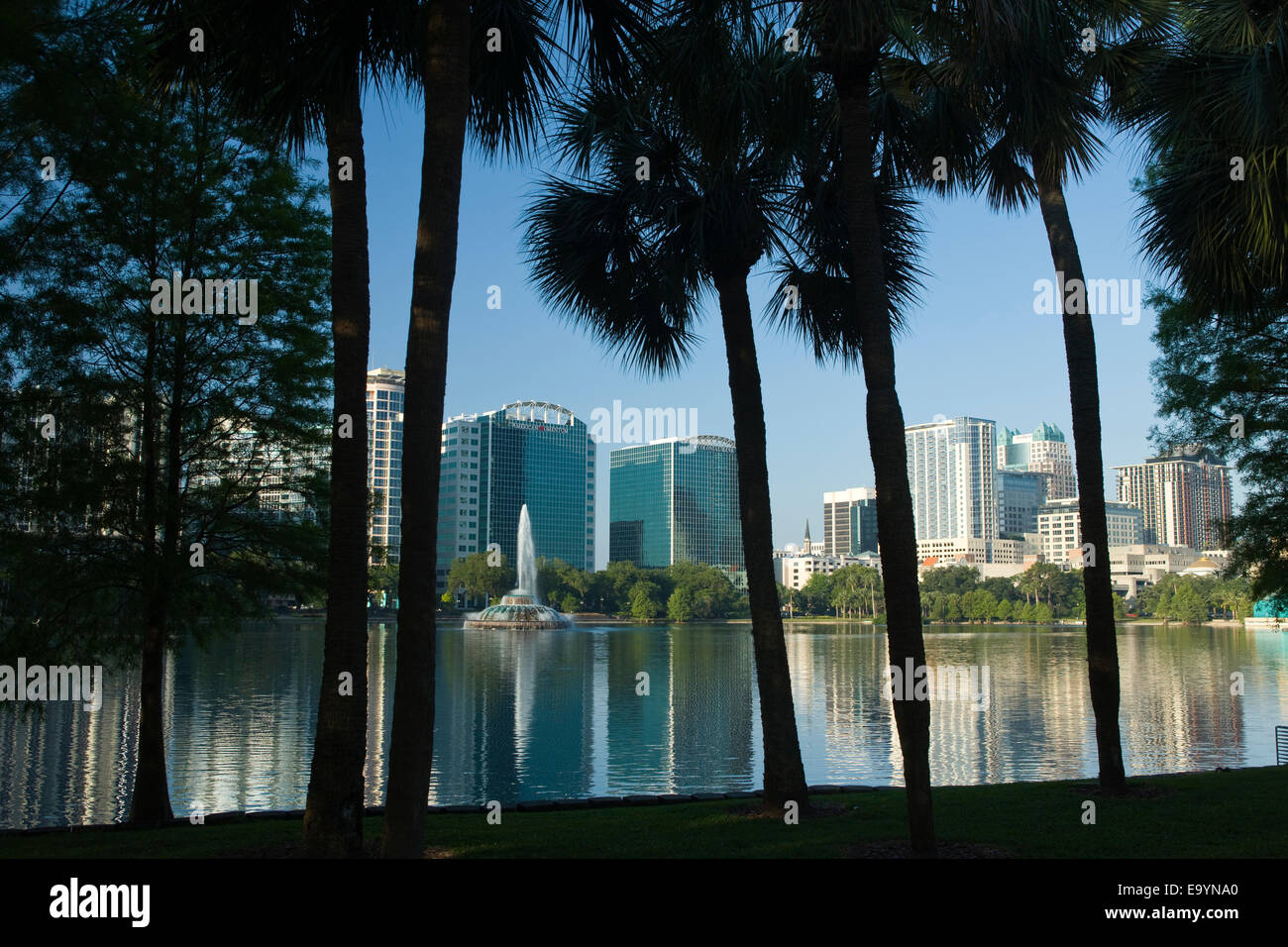 PALM TREES DOWNTOWN SKYLINE LAKE EOLA PARK ORLANDO FLORIDA USA Stock ...