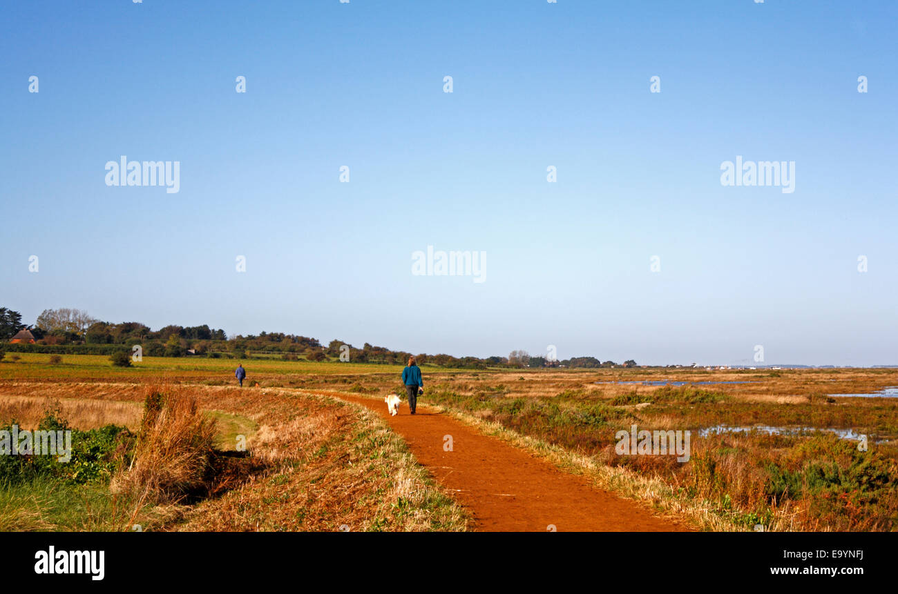 A view of the Norfolk Coast Path by salt marshes at Blakeney, North ...