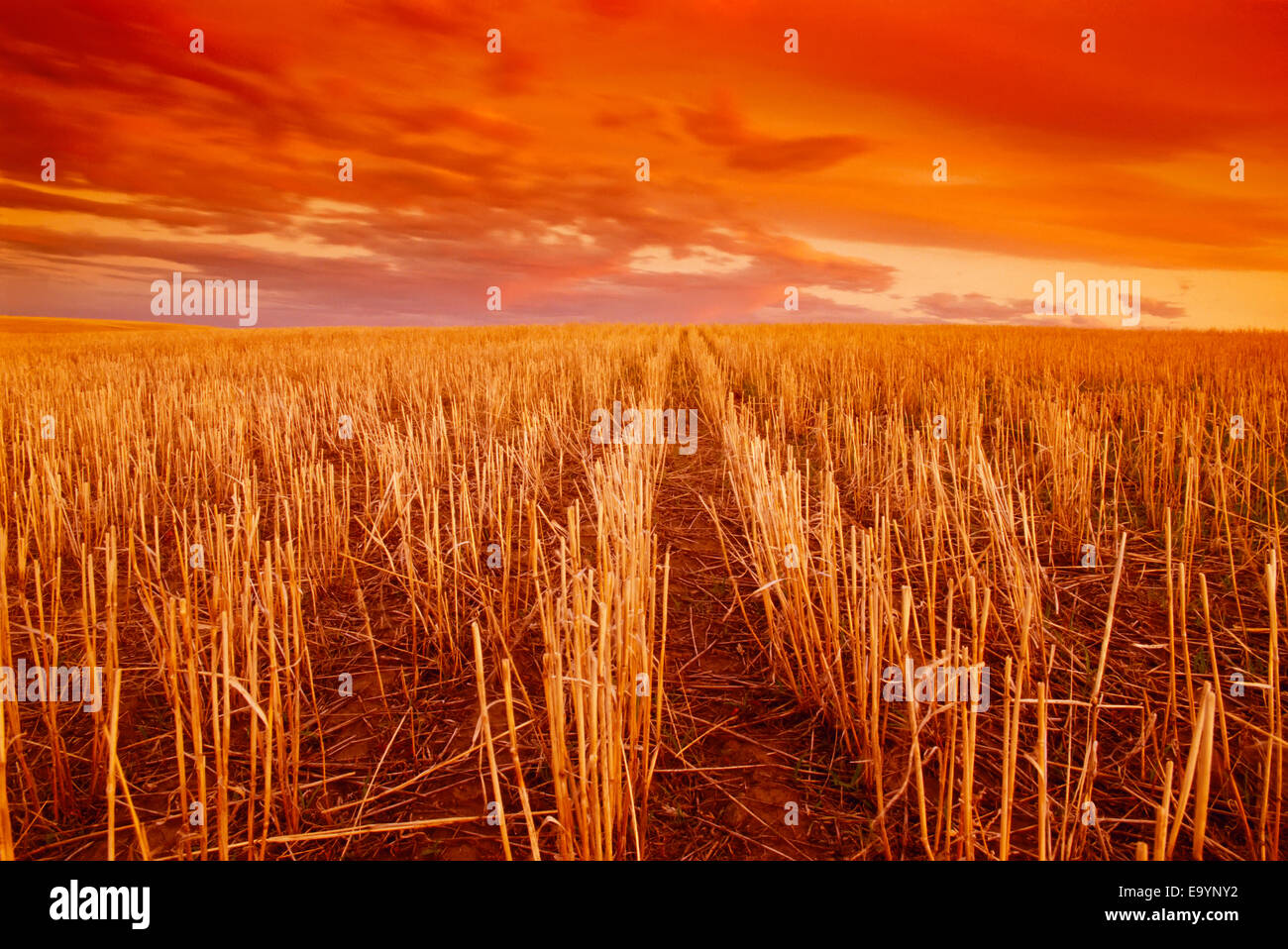 Ponteix saskatchewan hi-res stock photography and images - Alamy