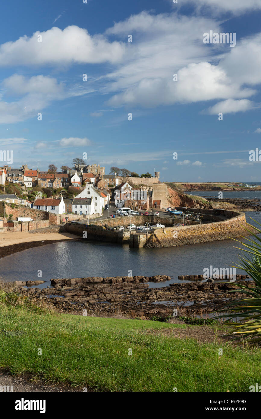 Crail harbour, Fife, Scotland, UK Stock Photo - Alamy