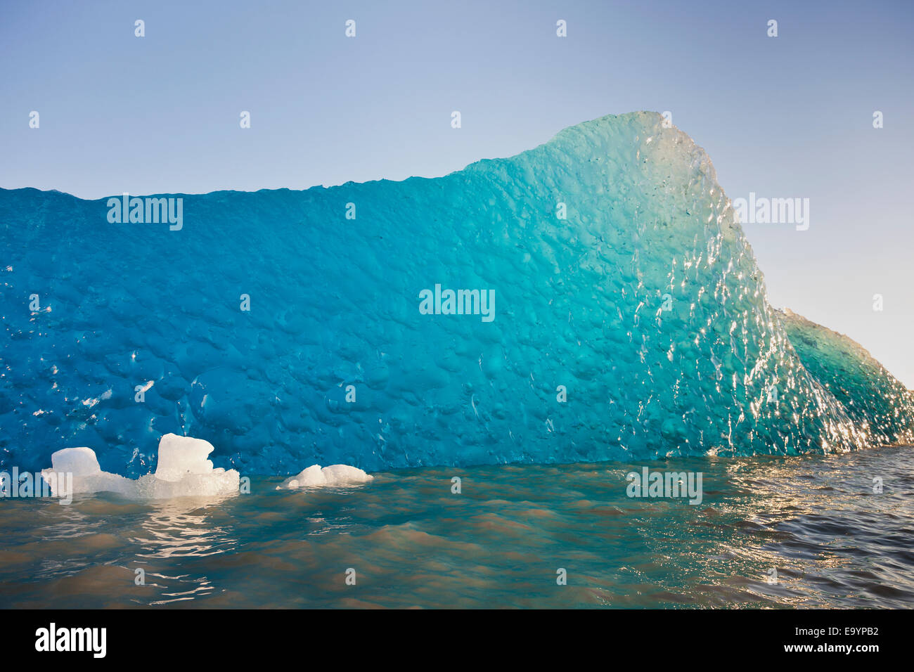 Iceberg broken off of Mendenhall Glacier floating in Mendenhall lake ...