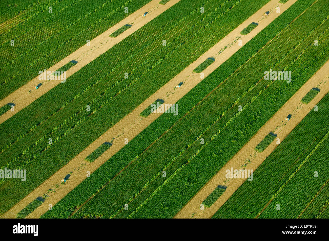 Mixed farming aerial hi-res stock photography and images - Alamy