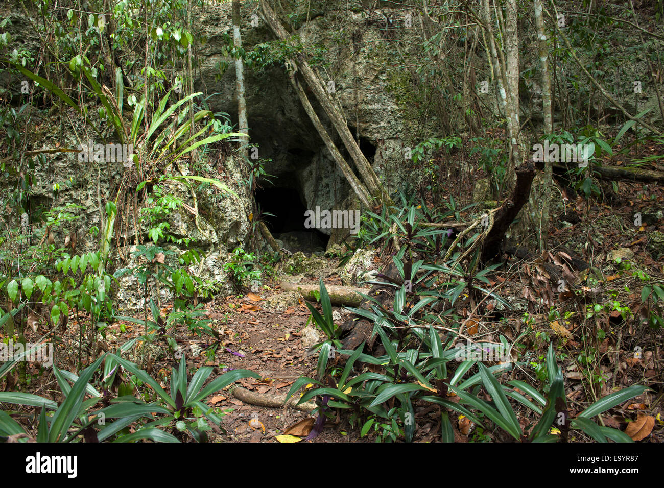 Cueva del punta hi-res stock photography and images - Alamy
