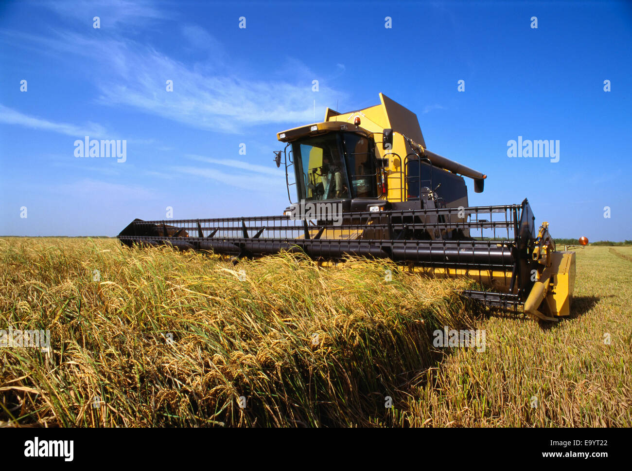 Agriculture - A Caterpillar Lexion 485 tracked combine harvests premium ...
