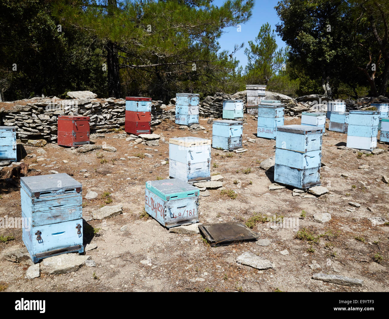Traditional beehives hi-res stock photography and images - Alamy