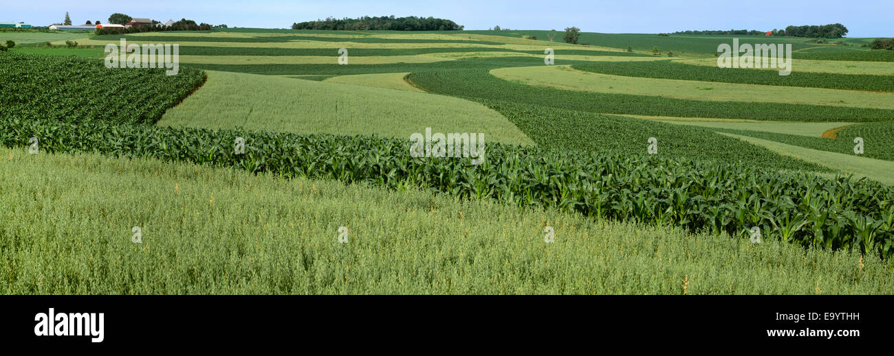 Strip cropping hi-res stock photography and images - Alamy