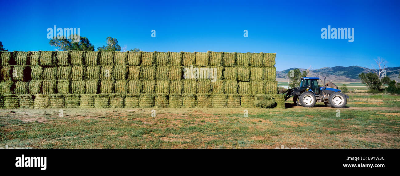 Tractor stacking hat bales hi-res stock photography and images - Alamy