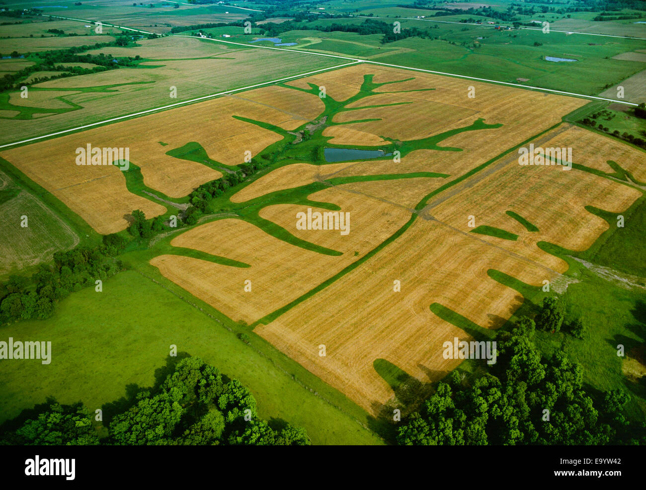 Aerial view of newly planted springtime agricultural fields and green ...