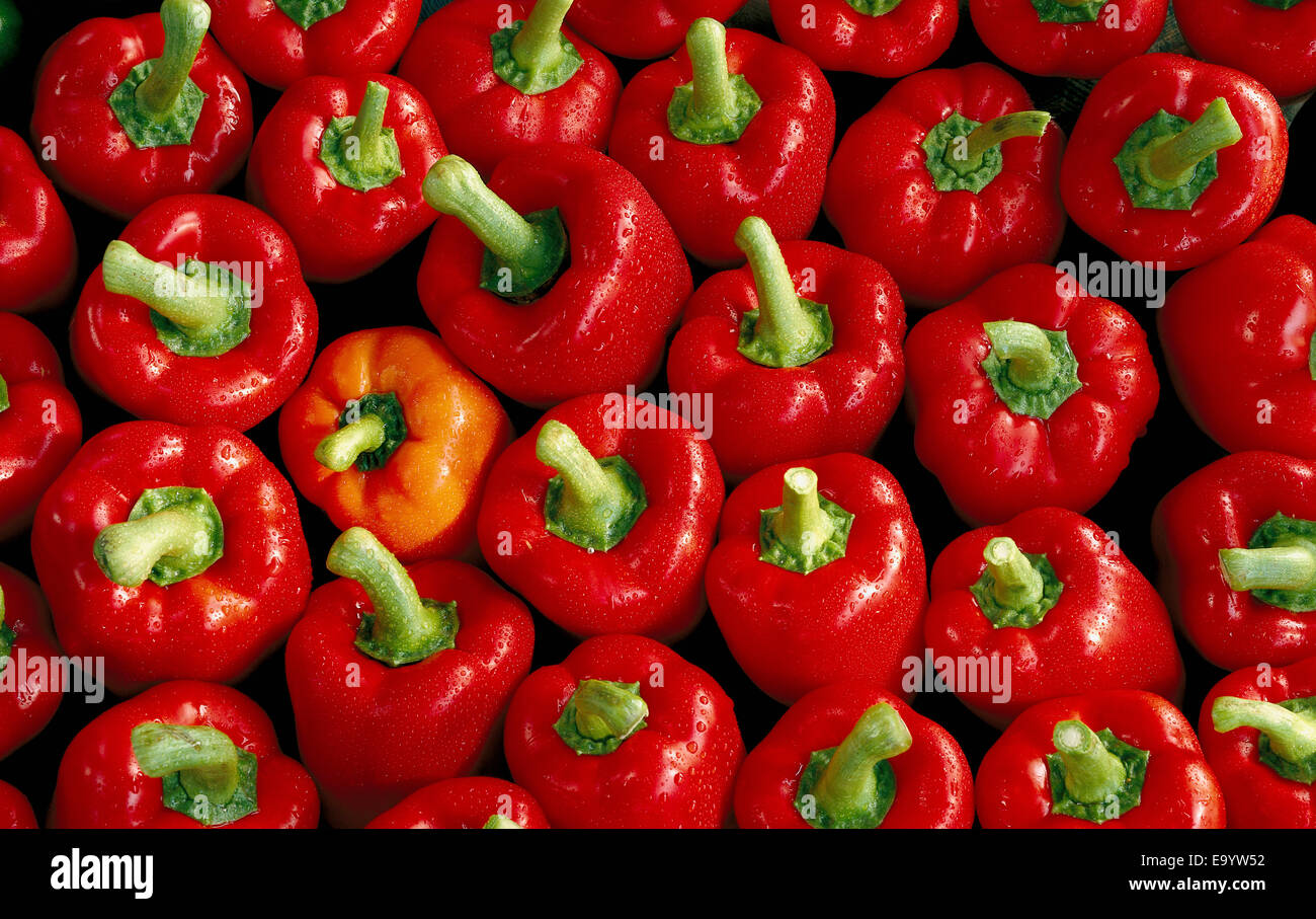 Mild bell peppers hi-res stock photography and images - Alamy