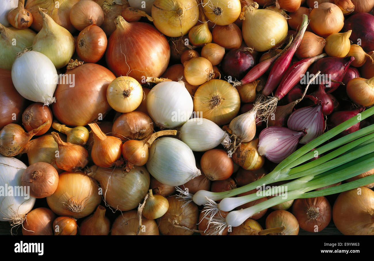 Breton tops hi-res stock photography and images - Alamy