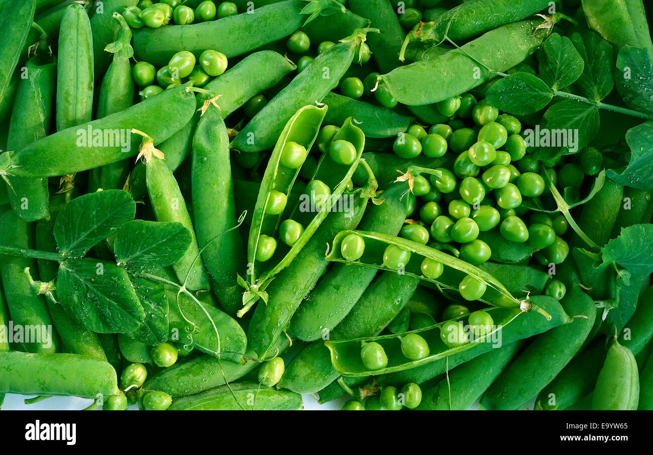 Agriculture - Green peas, shelled and unshelled / studio Stock Photo ...