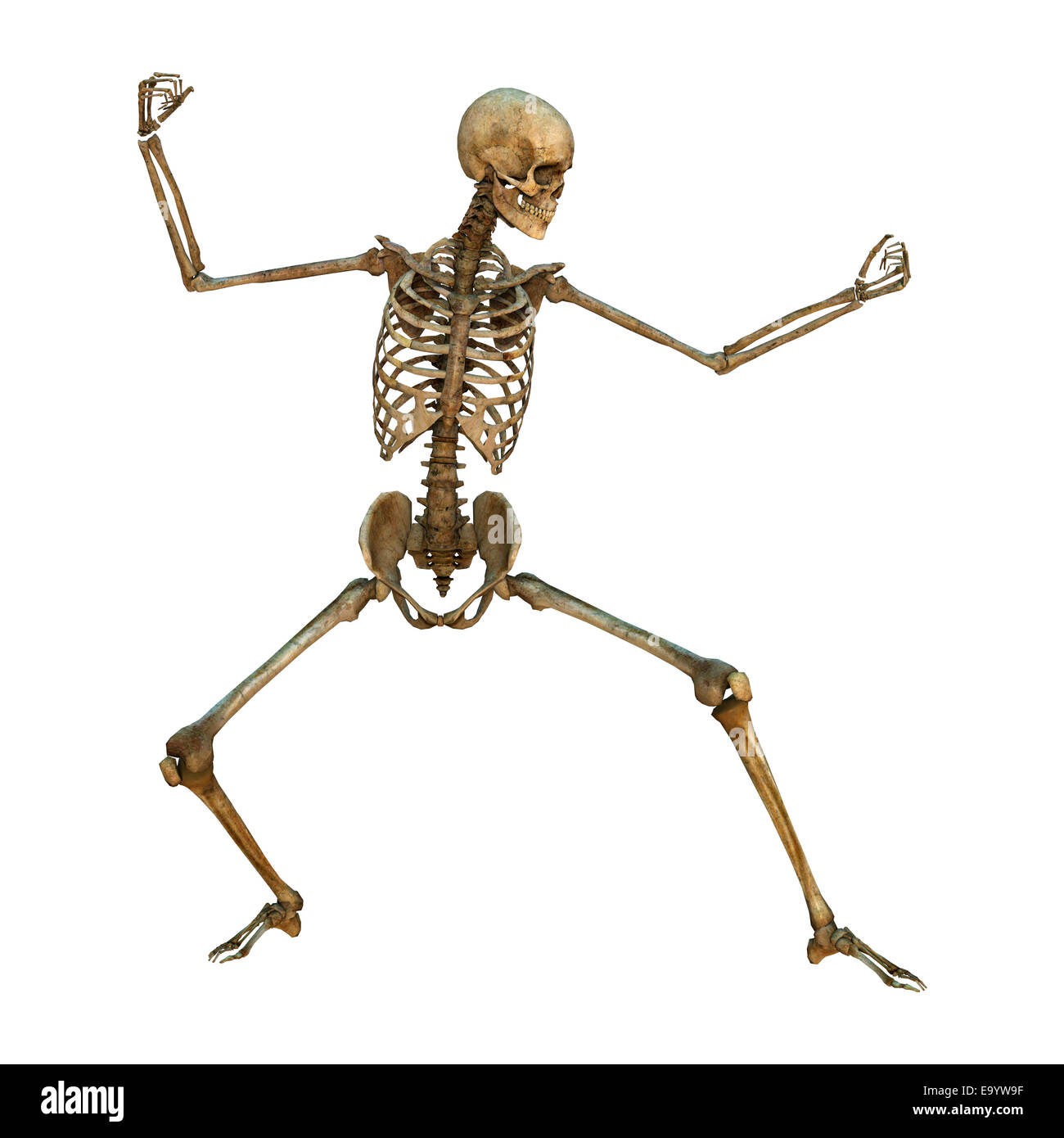 3D digital render of a human skeleton in a blocking martial arts ...