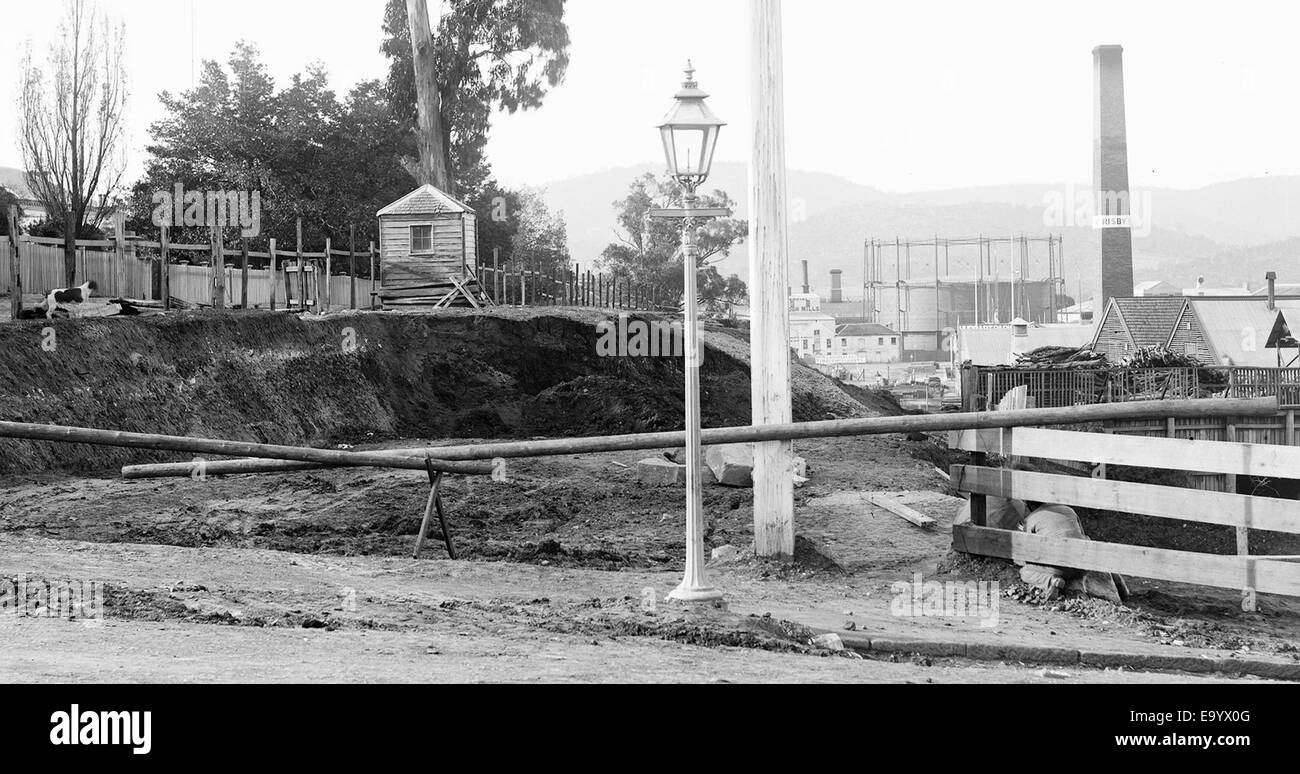 Lady Franklin's Tree, Davey St Hobart showing Gas works (c1900) Lady ...