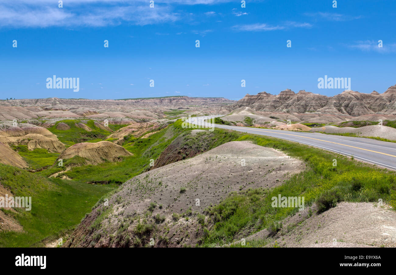 Heavy Spring rains result in a wonderful combination of green foliage ...