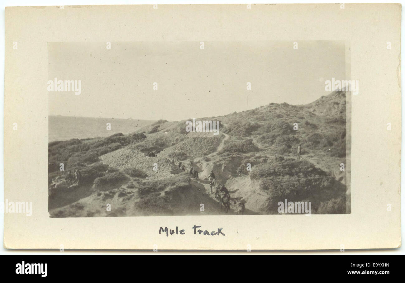 Ancient mule track hi-res stock photography and images - Alamy