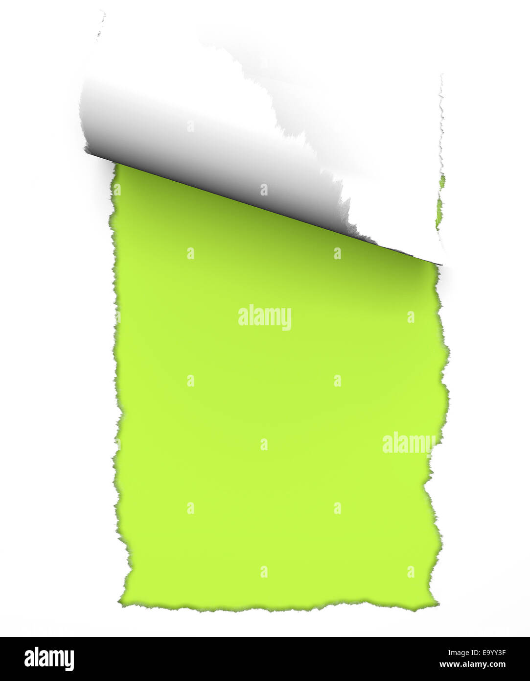 Green texture with white stripe Stock Photo - Alamy