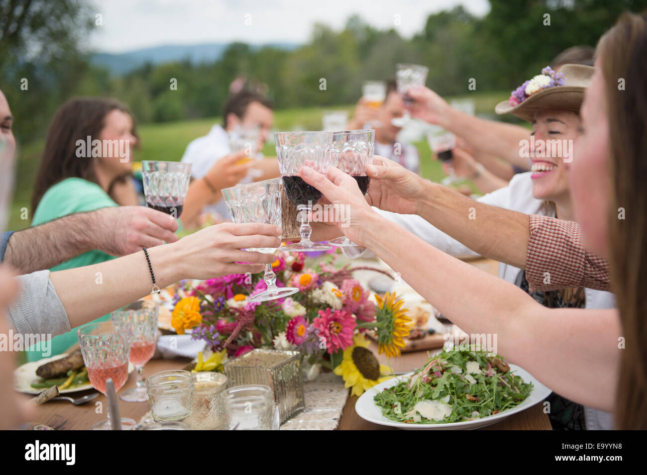 Family and friends making a toast at outdoor meal Stock Photo - Alamy