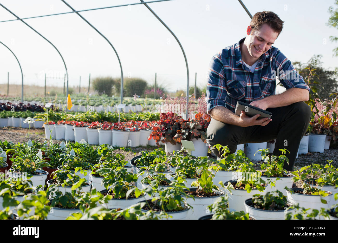 Young male horticulturalist using touchscreen on digital tablet in ...