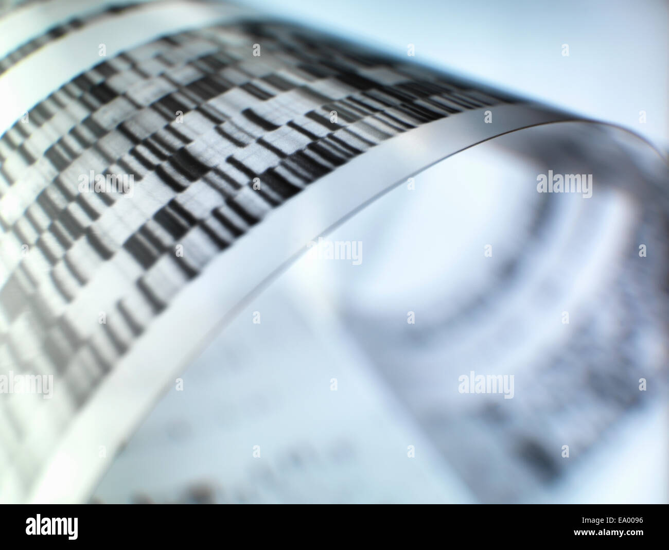 Close up of autoradiograph used in researching genetics Stock Photo - Alamy