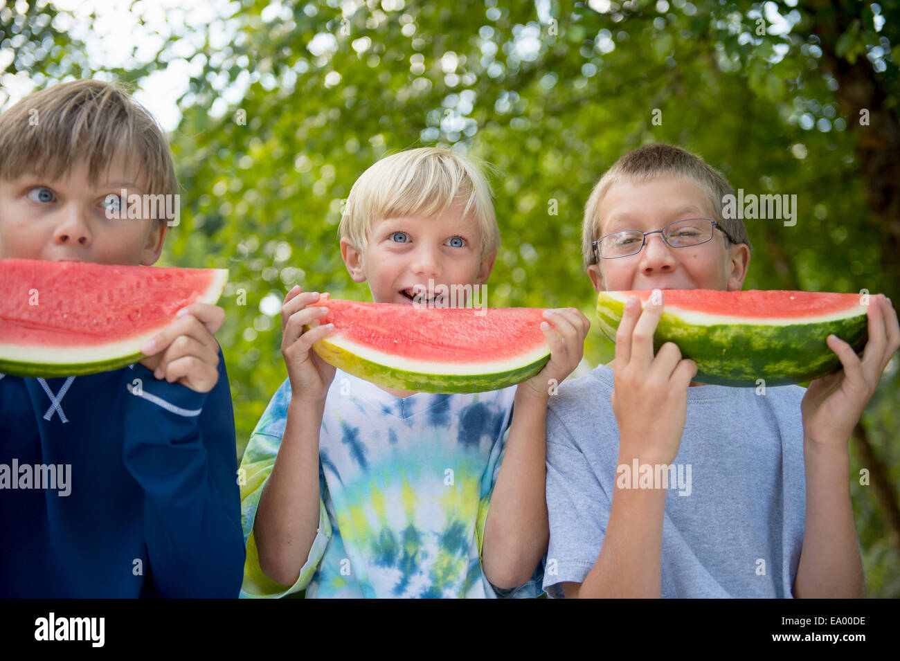 Friends eating watermelon in garden Stock Photo - Alamy