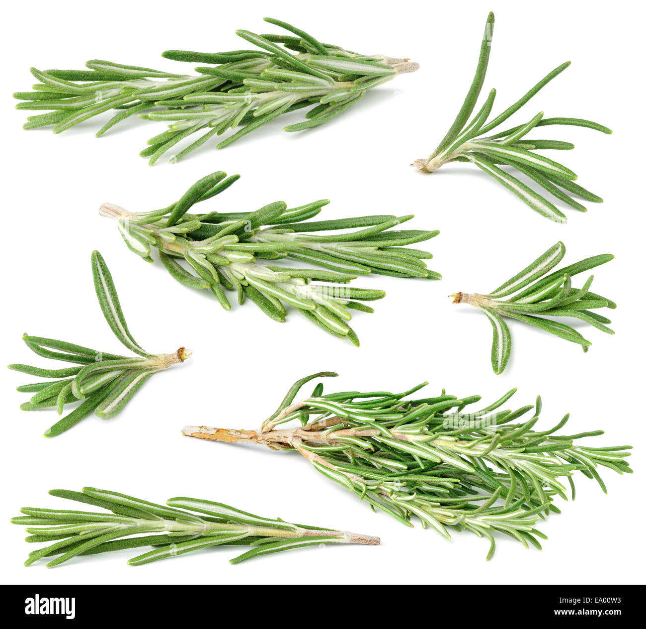 Herb spice package design Cut Out Stock Images & Pictures - Alamy